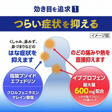 TAISHO Pabron Ace Pro-x Tablets 36 Tablets | Merry Seasons