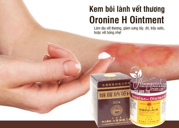 OTSUKA Oronine H Ointment 30g | Merry Seasons